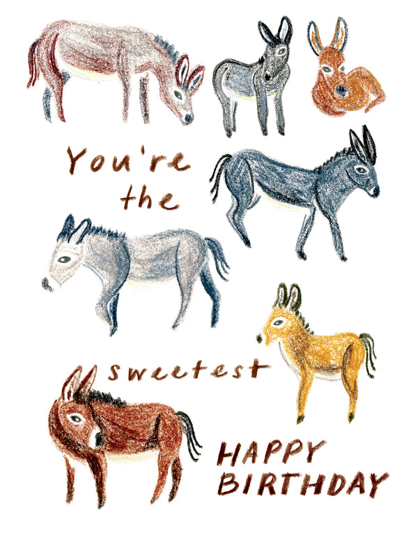 Donkeys Birthday Card - Small Adventure